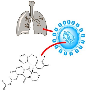 Baloxavir Marboxil a New Drug against Influenza with Noval Mechanism